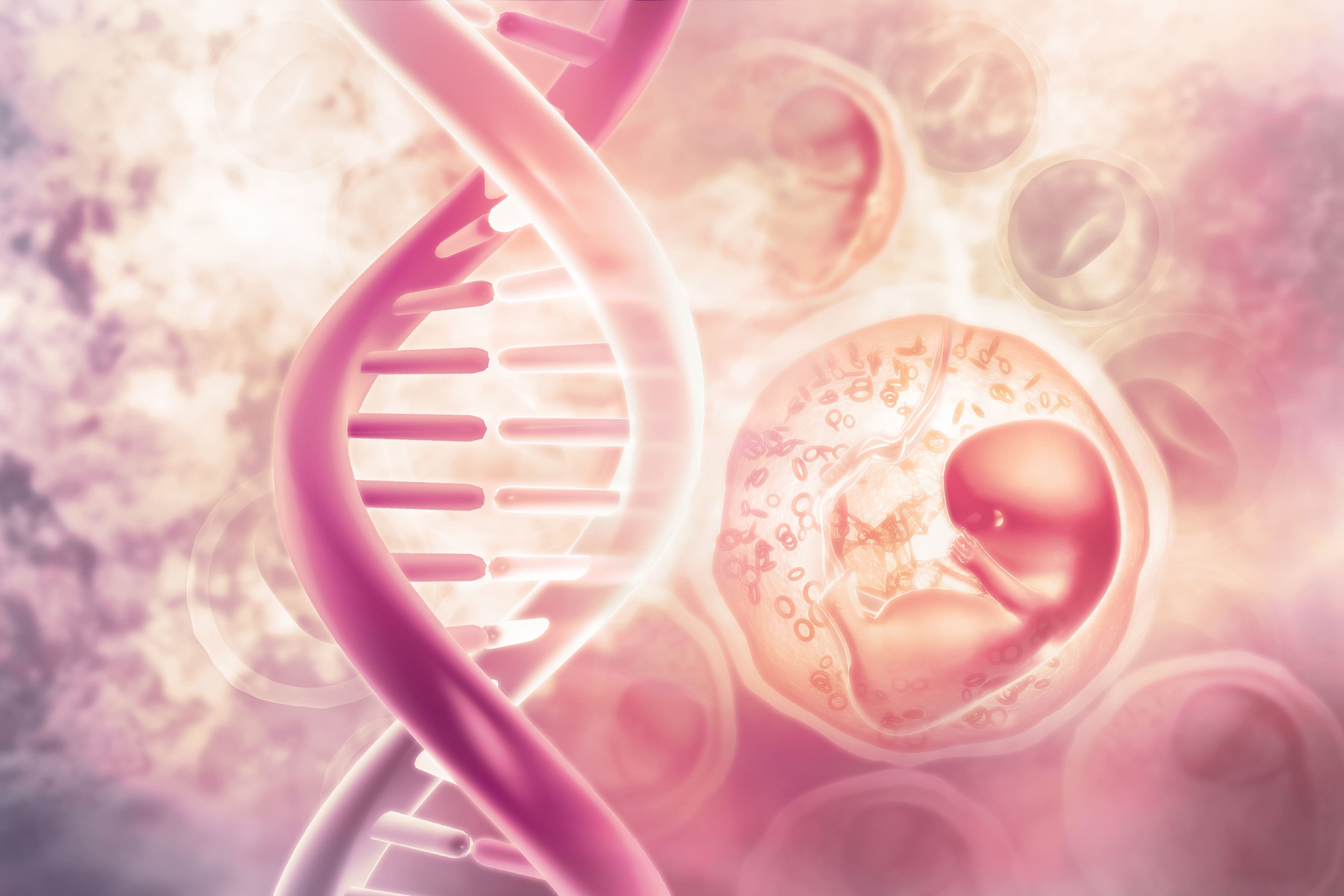 NIPT Test dna fetale: cos’è, a cosa serve, come funziona, quando si fa ...